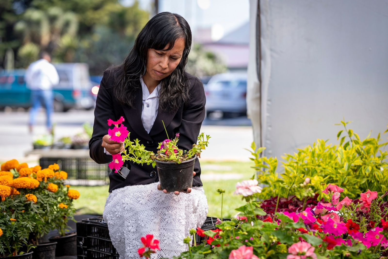 Mujeres en la Ciencia: Investigadora analiza propiedades medicinales ...